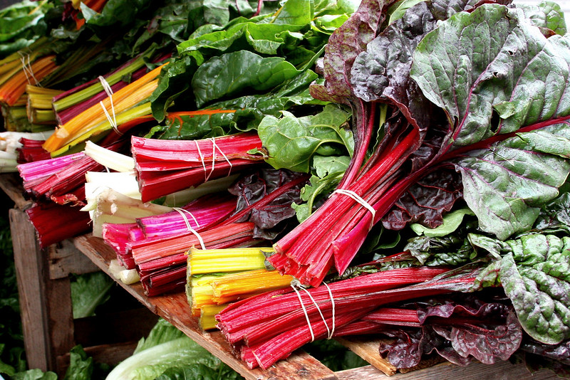 Week 10 – New Roots Cooperative Farm